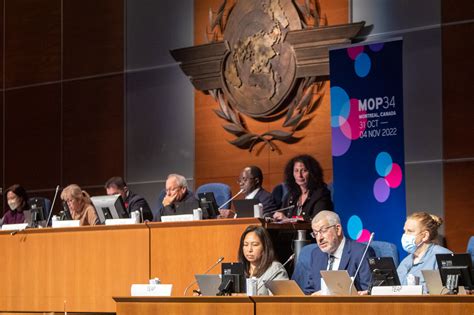 Teap Presentation 1 Mop34 1nov2022 Photo Iisd Earth Negotiations Bulletin