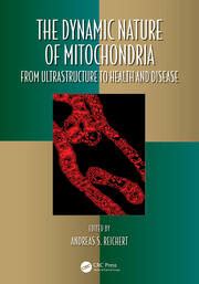 The Dynamic Nature Of Mitochondria From Ultrastructure To Health And