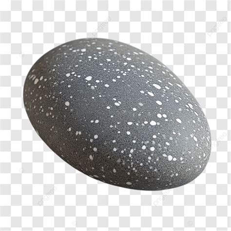 Unique Gray Pebble With White Patterns Speckled Stone Gray Rock
