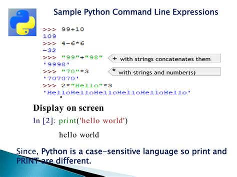CLASS 11 12 ICT PPT PYTHON PROGRAMMING Pptx