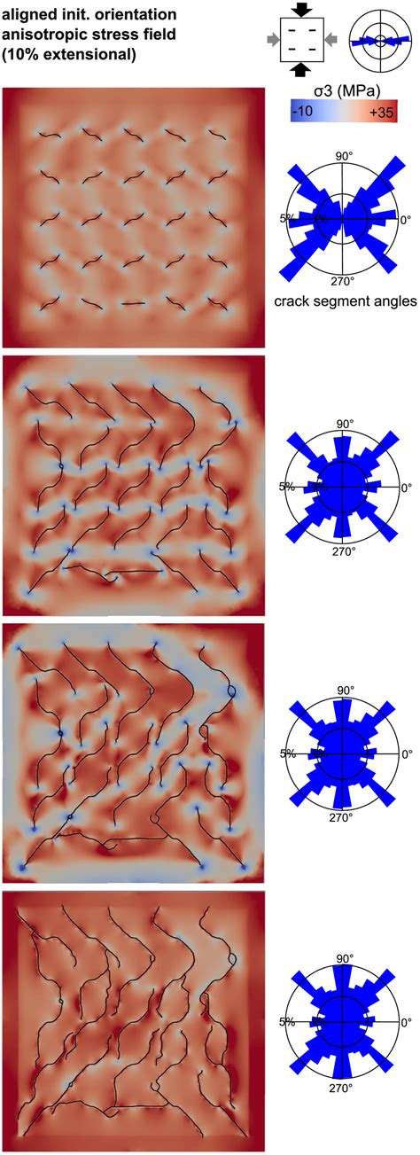 Time Series Of The Fracture Network Evolution And Its Orientation Download Scientific Diagram