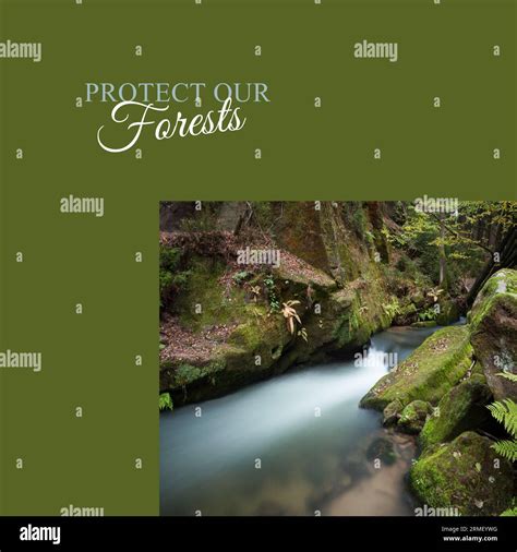 Composite Of Protect Our Forests Text And Long Exposure Of River
