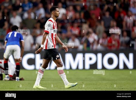 Eindhoven Cody Gakpo Of Psv Eindhoven During The Uefa Champions