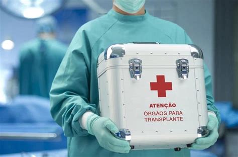 Brasil realizou transplantes de coração na última semana entenda os critérios Hoje Amazônia