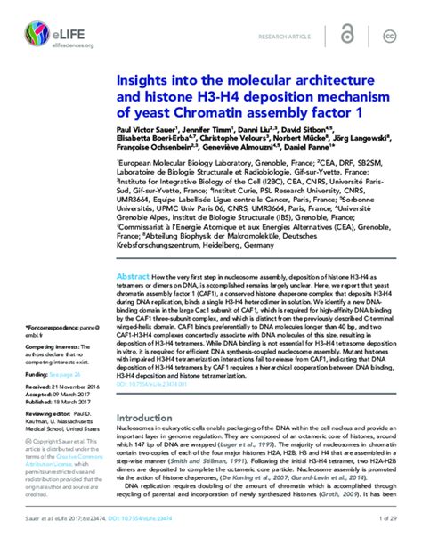 Pdf Insights Into The Molecular Architecture And Histone H3 H4