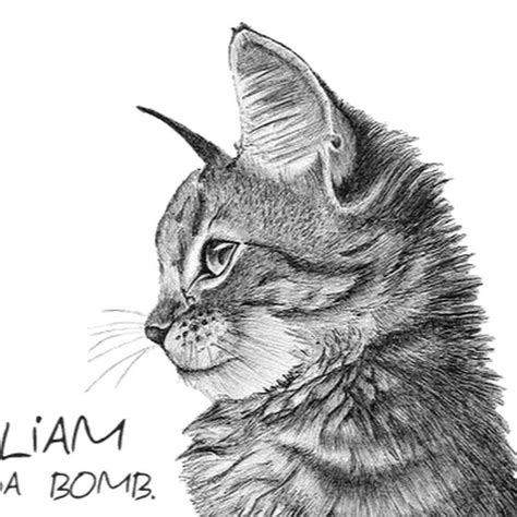 William Hsiao Youtube