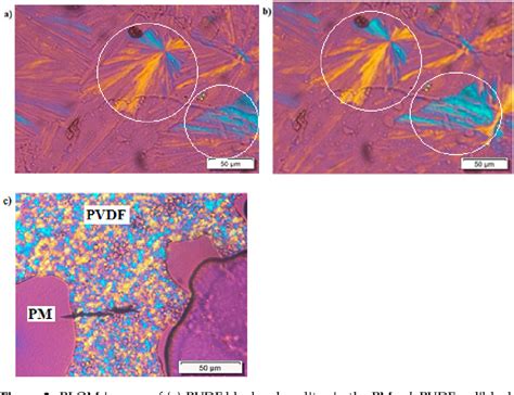 Figure 2 From Phase Transitions In Polyvinylidene Fluoride