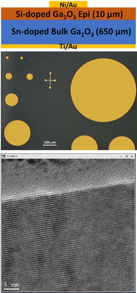 Schematic Of Rectifier Structure Used In These Experiments Top Plan Download Scientific