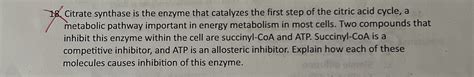Solved Citrate Synthase Is The Enzyme That Catalyzes The