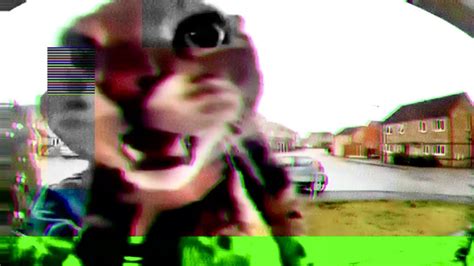 Кот Мяукает в Камеру но Он Лагает Youtube