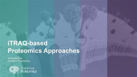 Mass Spectrometry Based Proteomics Quantification Itraq Pptx