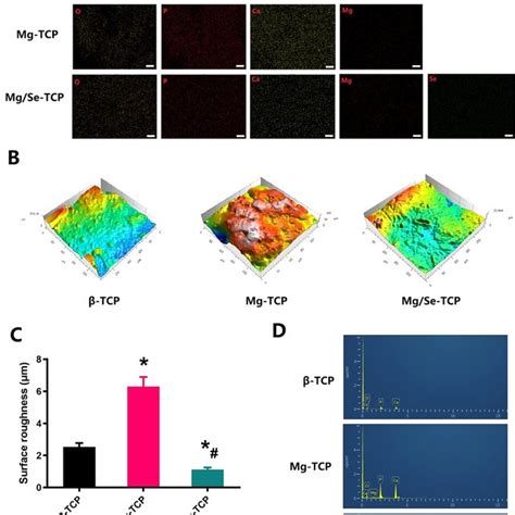 Phase Composition Analysis Of The β Tcp Mg Tcp And Mg Se Tcp A Eds