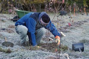 Watershed Reforestation USDA ARS