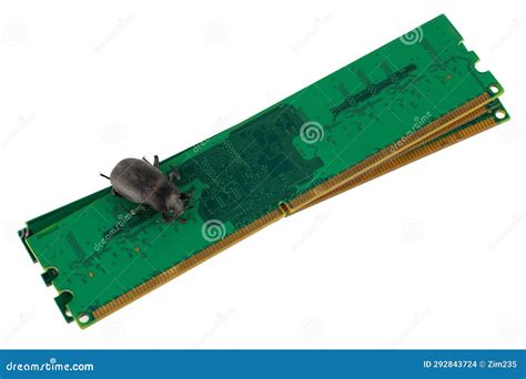 Bug On PC Memory Module Computer Error Concept Stock Photo Image Of Error Program 292843724