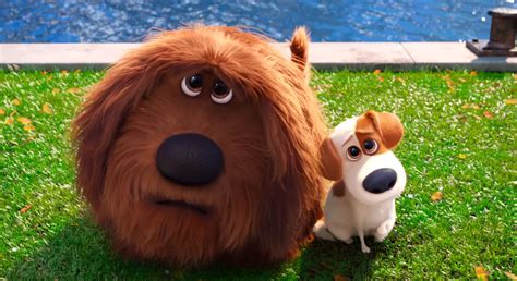 Fecha De Estreno Para La Vida Secreta De Tus Mascotas 2 Cine Premiere
