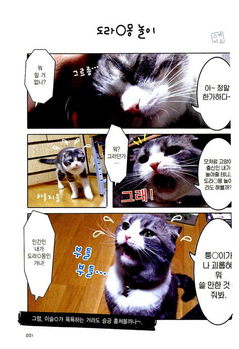 알라딘 미리보기 바보 고양이와 고양이 바보