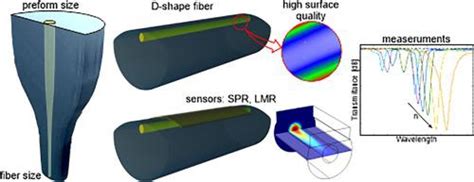 From D Shaped To D Shape Optical Fiber A Universal Solution For Sensing And Biosensing