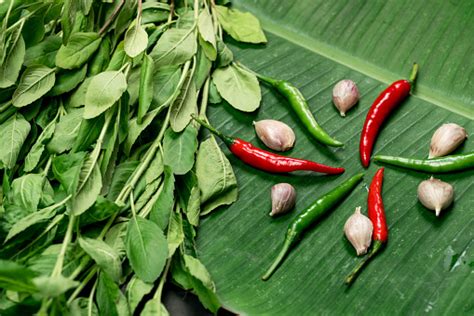 붉은 고추와 마늘 바나나 잎 배경에 포함 Copyspace 텍스트 또는 그래픽 추가 0명에 대한 스톡 사진 및 기타 이미지 0명 건강한 식생활 레드칠리페퍼 Istock