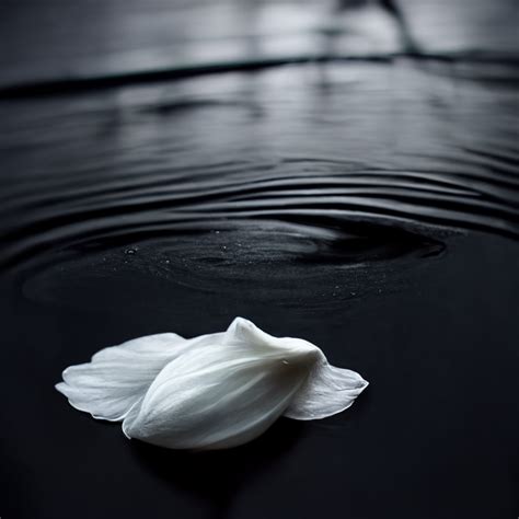 Imagine Series Sofie Berzon Mackie