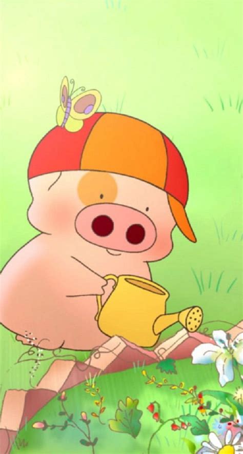 麦兜 高清图片，堆糖，美图壁纸兴趣社区