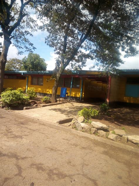 Unity Primary School Kenya 🇰🇪 Tortoisepath Schoolfinder 🎓