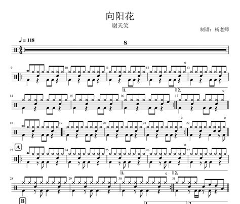 谢天笑《向阳花》架子鼓爵士鼓鼓谱 杨老师制谱 乐手网