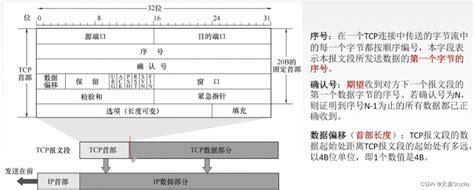 【计算机网络】详解tcp协议上 Tcp协议头结构 Ack确认应答 超时重传机制tcp Ack Csdn博客
