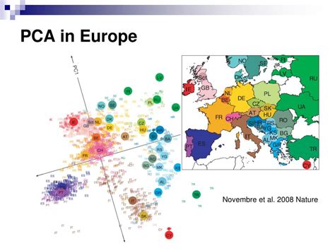 Ppt Population Genetics Powerpoint Presentation Free Download Id