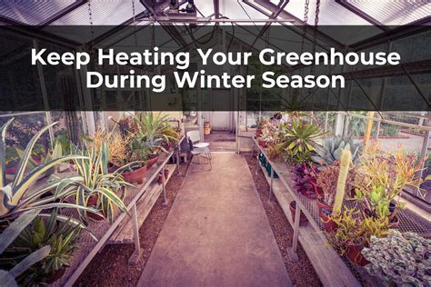 Greenhouse Real Men Sow