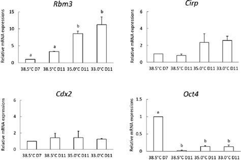 Quantitative Real Time Polymerase Chain Reaction Analysis Of Relative