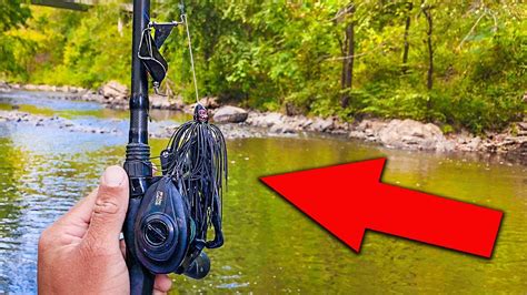 Best Fall Fishing Technique Insane Topwater Blowups Youtube