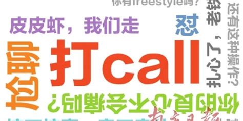 2017十大网络用语揭晓 打call等流行语上榜手机新浪网