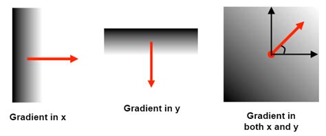 Finite Differences Theailearner