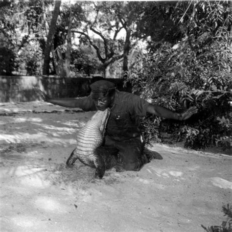 Alligator Farms 33 Astounding Vintage Photographs