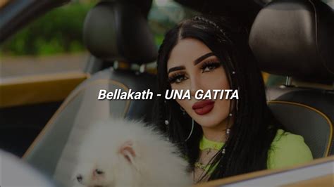 Una Gatita Que Le Gusta El Mambo 🔥 Letra Una Gatita Bellakath