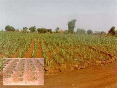 Zaï Pits Burkina Faso Download Scientific Diagram