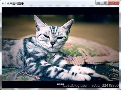 Opencv：之flip实现图像旋转flip图像 Csdn博客