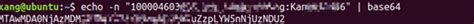 Docker Registry V2 Api的使用 Csdn博客
