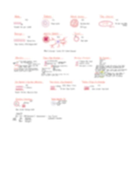 Solution Histology Basic Tissues Studypool