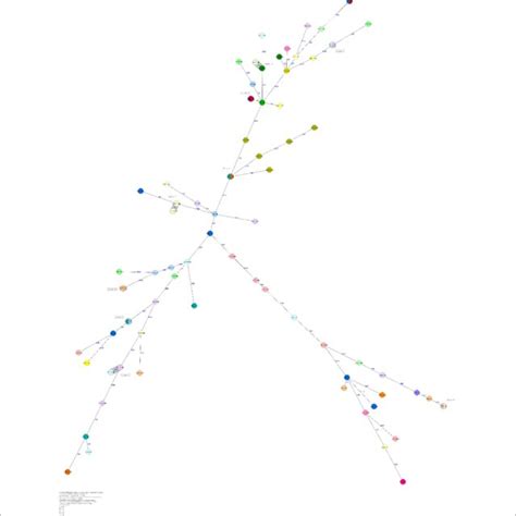 Minimum Spanning Tree Mst Based On Cgmlst Analysis Of 15 K Download Scientific Diagram
