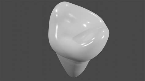 Mandibular Second Premolar 3d Model 3d Model Cgtrader