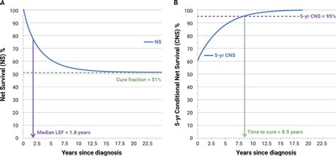 Examples Of Calculation Of Cure Fraction Median Life Expectancy Of Download Scientific Diagram