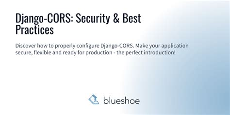 Django CORS Security Best Practices BLUESHOE