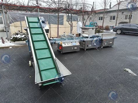 Nursery Seeding Machine Tree Seedling Planting Machine Price