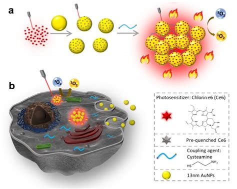 Introduction To Gold Nanoparticle Characterization 20