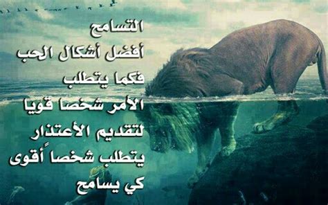 قصيدة عن التسامح شعر عن التسامح والعفو افضل جديد