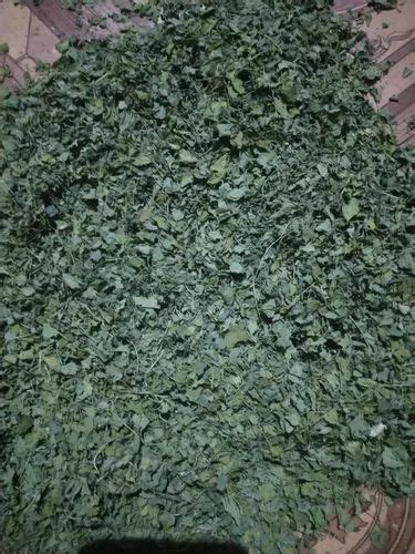 Whole Green Kasturi Methi At 240 Kg Ghansoli Mumbai ID