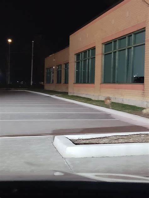 You May Take This Shortcut But Dont Look Behind You Until You Are