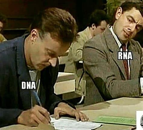 Polubienia 867 komentarze 1 ucz się z memami me matura na