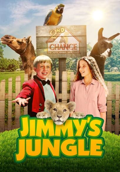 Watch Jimmys Jungle 2016 Free Movies Tubi